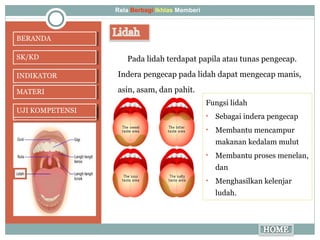 Ba sistem pencernaan makanan | PPT