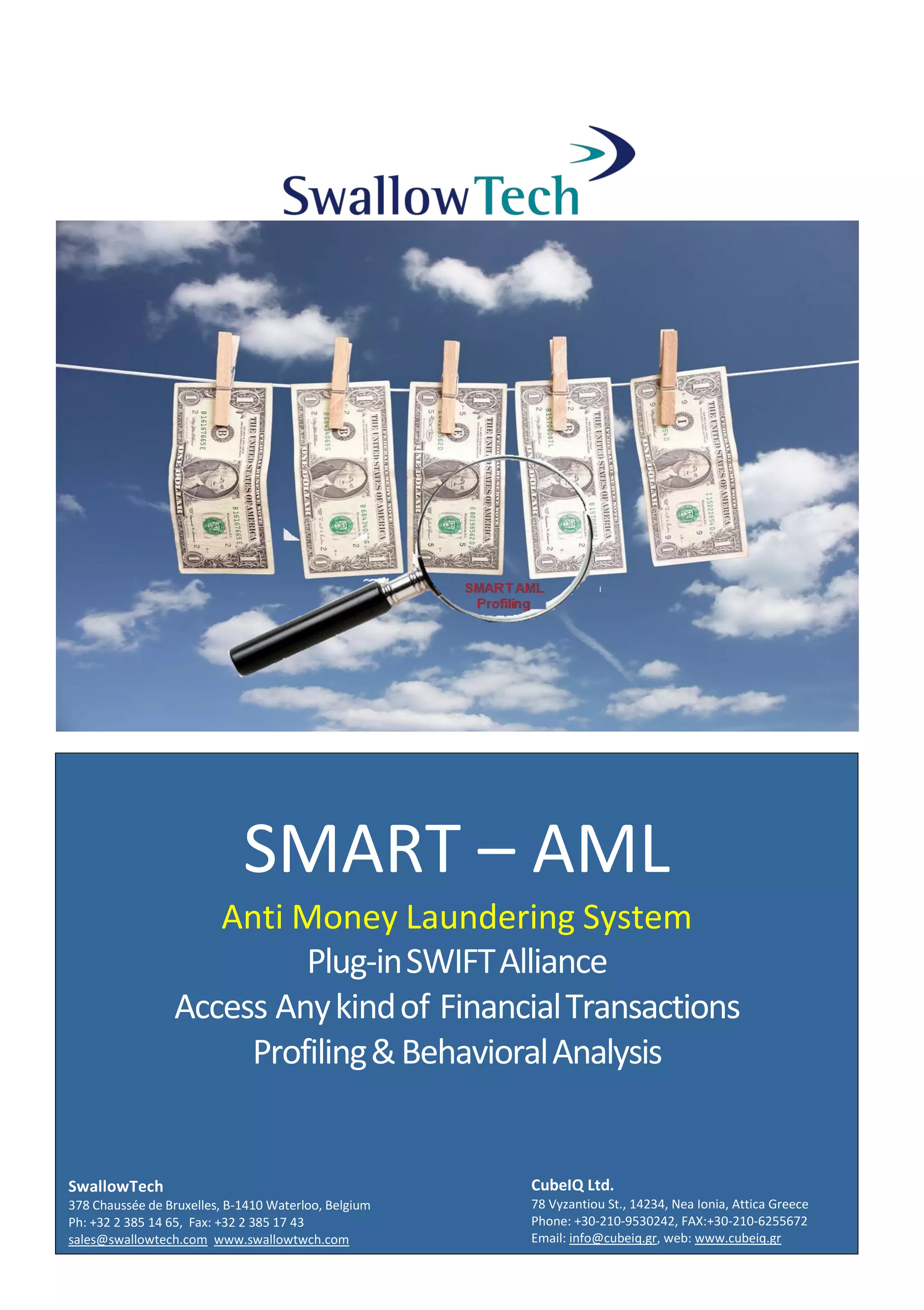 SMART-AML_A4.EN.ciq