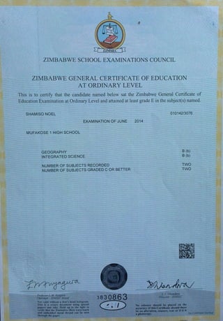 O level certificate 01 | PDF