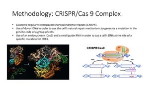 Retinal Dystrophies and CRB1 | PPTX