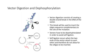 Retinal Dystrophies and CRB1 | PPTX