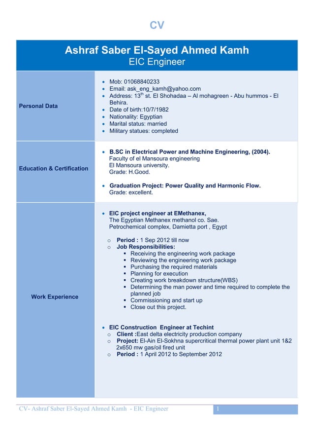 Ashraf - CV | PDF