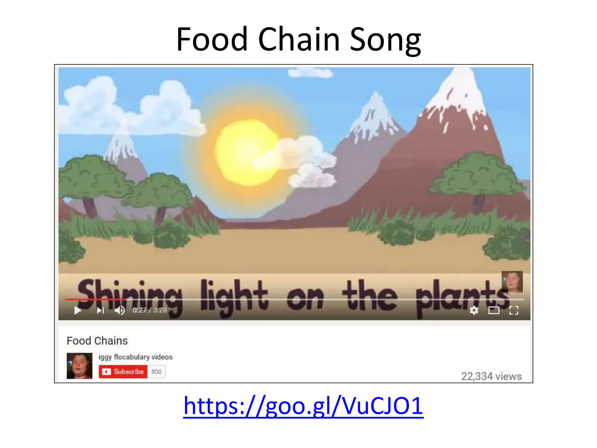 Ba 2.3 food chains paper collage | PPTX