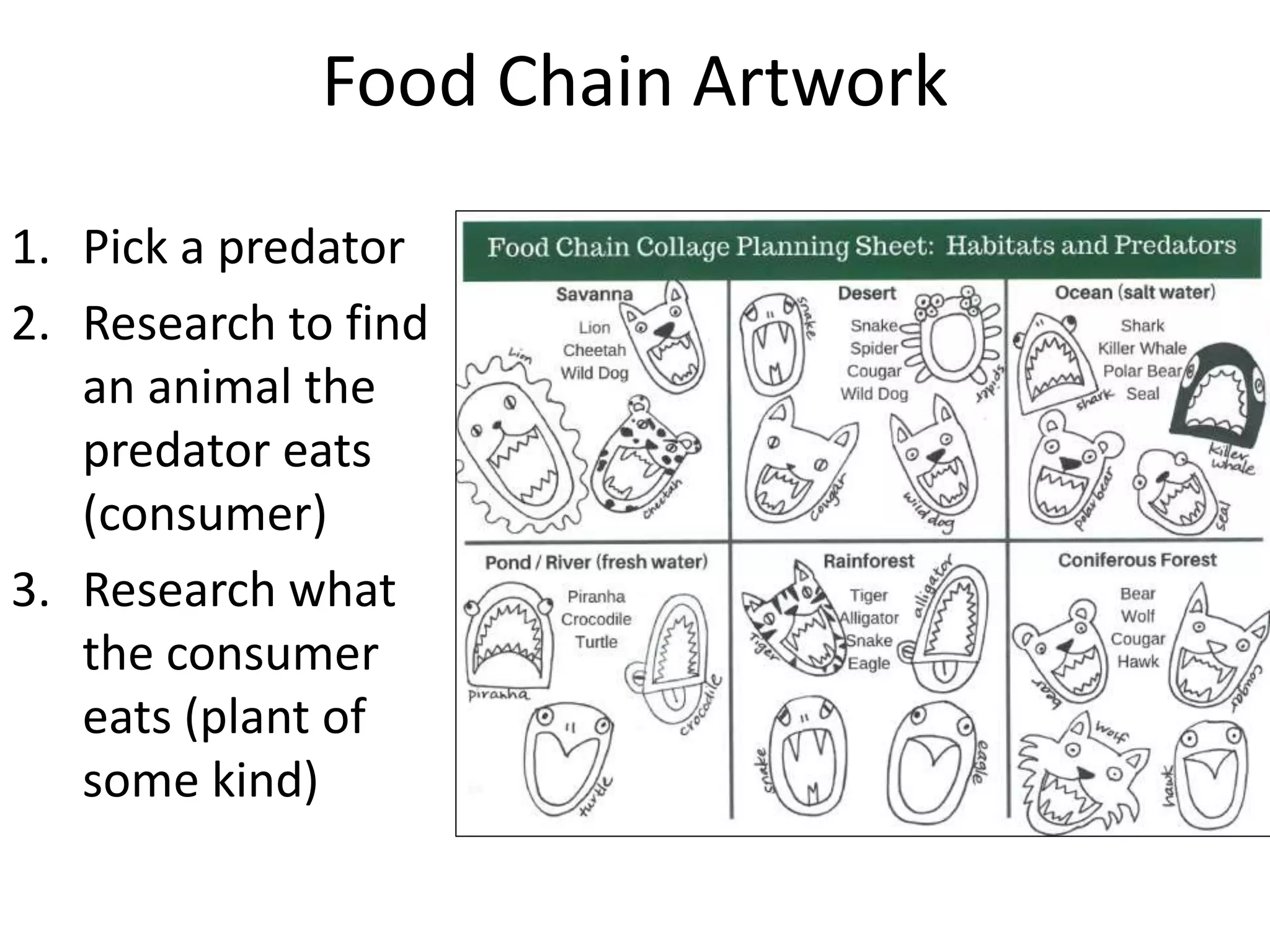 Ba 2.3 food chains paper collage | PPTX
