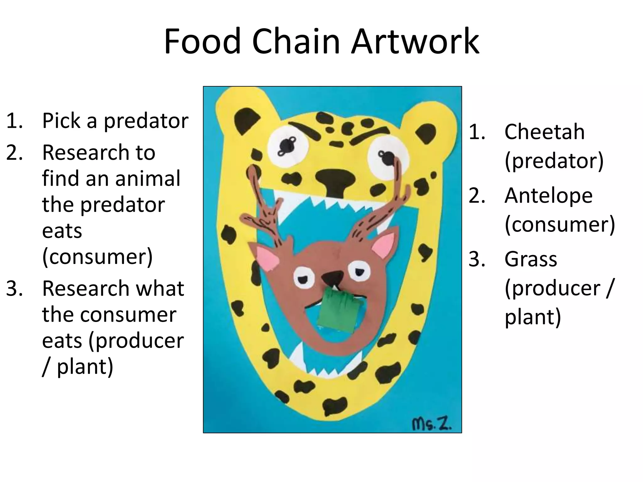Ba 2.3 food chains paper collage | PPTX
