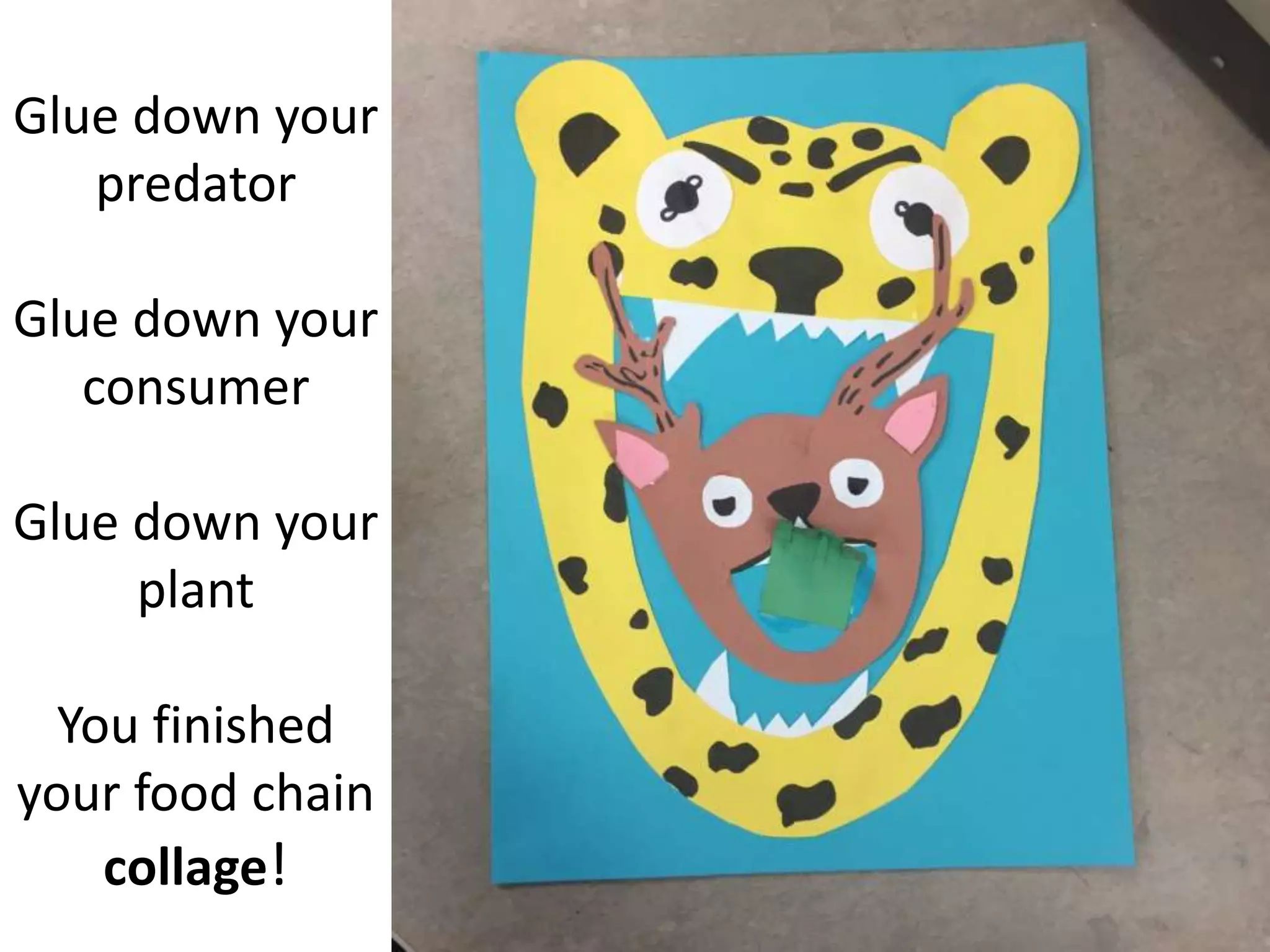 Ba 2.3 food chains paper collage | PPTX