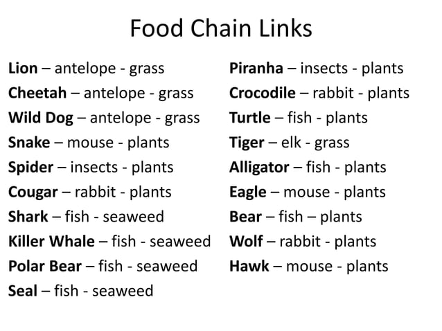 Ba 2.3 food chains paper collage | PPTX | Reptiles | Pets