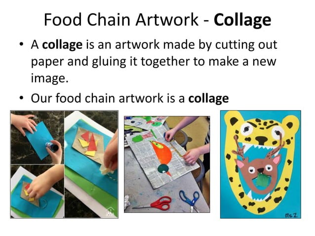 Ba 2.3 food chains paper collage | PPTX | Reptiles | Pets