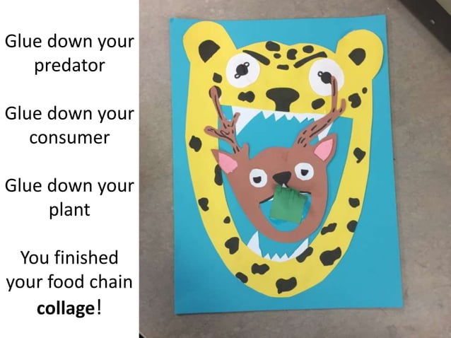 Ba 2.3 food chains paper collage | PPTX | Reptiles | Pets
