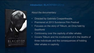Black Fish - Sea World Ethics Case | PPTX