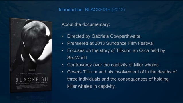 Black Fish - Sea World Ethics Case | PPTX