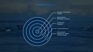 Black Fish - Sea World Ethics Case | PPTX