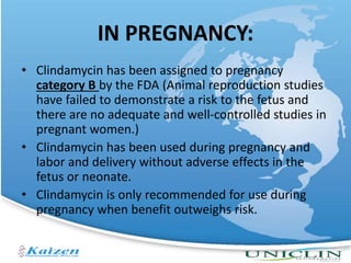 UNICLIN Chamber Presentation | PPT