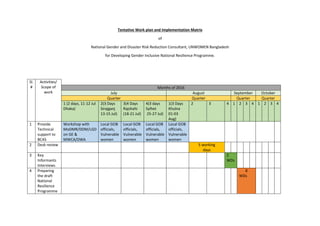 Gender & DDR _Work plan and implementation Matrix | PPT