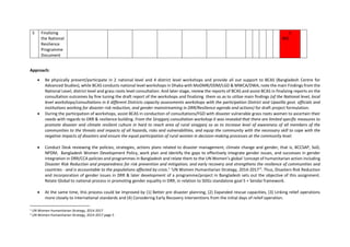 Gender & DDR _Work plan and implementation Matrix | PPT