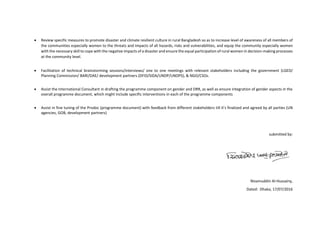 Gender & DDR _Work plan and implementation Matrix | PPT