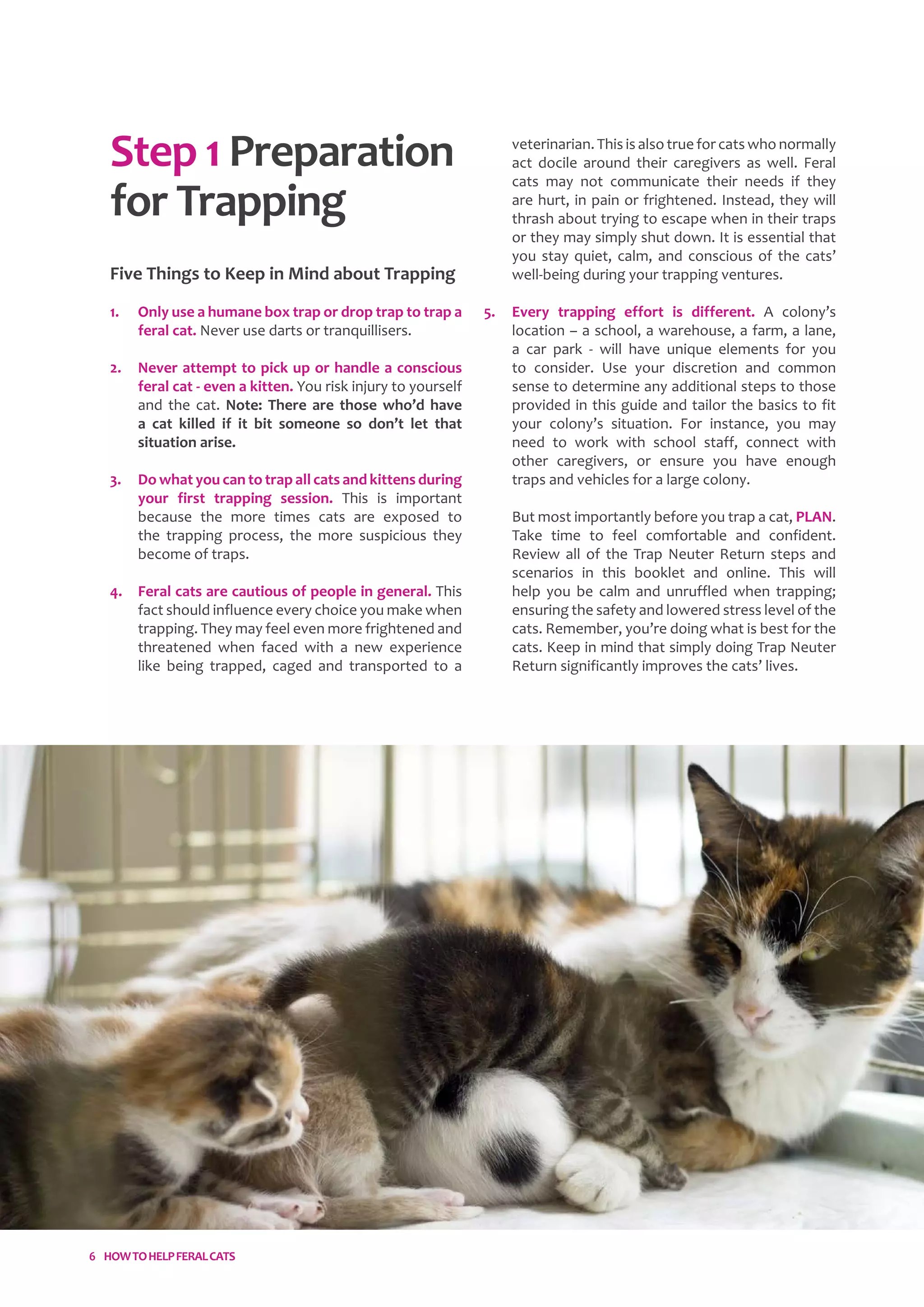 catalyst_guidelines_draft12_web | PDF