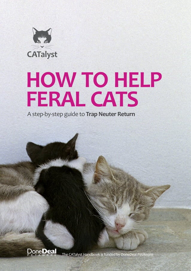 catalyst_guidelines_draft12_web | PDF