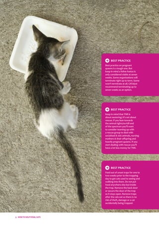 catalyst_guidelines_draft12_web | PDF