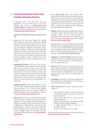 catalyst_guidelines_draft12_web | PDF