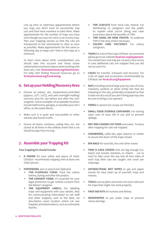 catalyst_guidelines_draft12_web | PDF