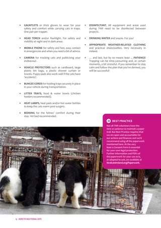 catalyst_guidelines_draft12_web | PDF