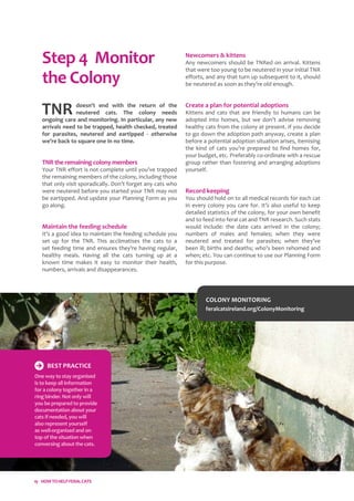 catalyst_guidelines_draft12_web | PDF