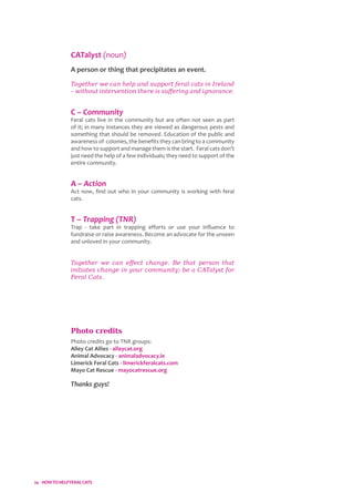 catalyst_guidelines_draft12_web | PDF