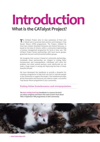 catalyst_guidelines_draft12_web | PDF