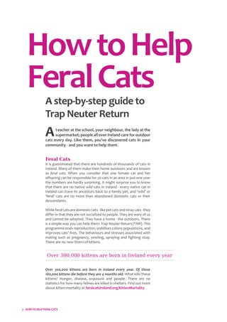 catalyst_guidelines_draft12_web | PDF