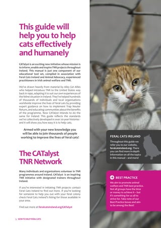 catalyst_guidelines_draft12_web | PDF