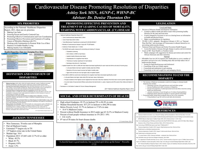 POSTER TEMPLATE FOR HC DISPARITIES | PPT