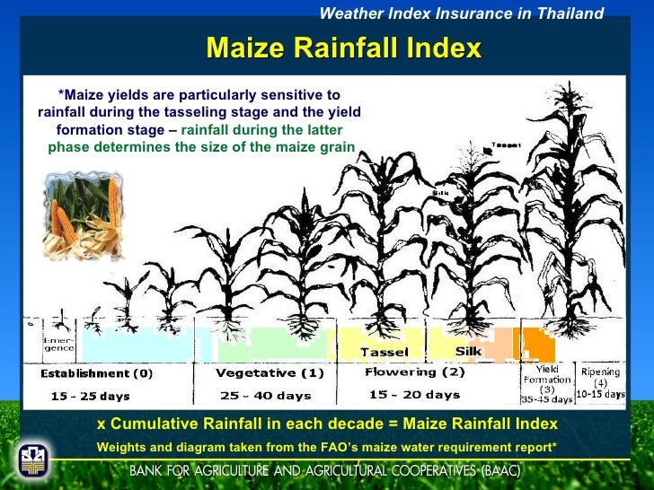 Baac weather index insurance.ppt(special)
