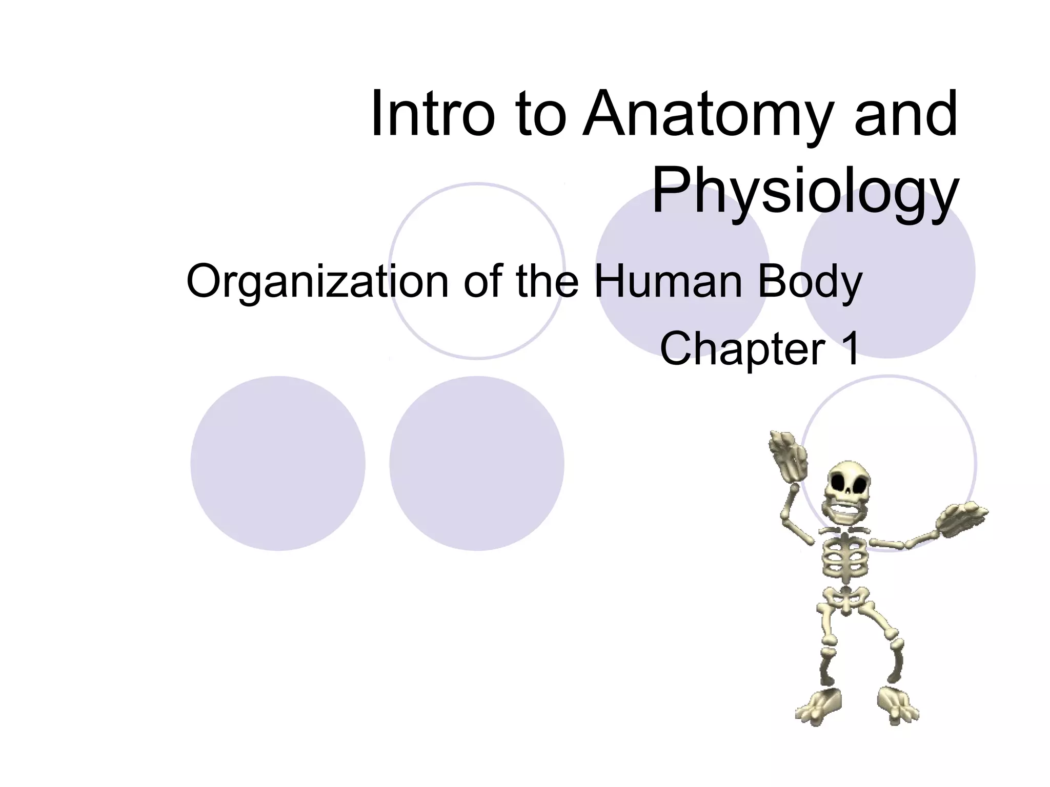 Chapter 1 notes Intro to Anatomy and Physiology | PPT