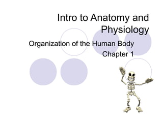 Chapter 1 notes Intro to Anatomy and Physiology | PPT