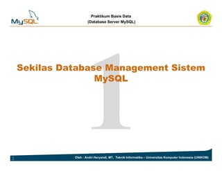 Bab 01-dbms | PDF