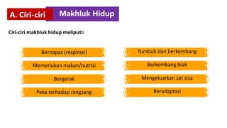 BAB-1-Makhluk-Hidup-dan-Lingkungannya.pptx