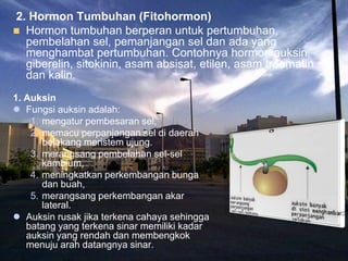 pertumbuhan dan perkembangan pada tumbuhan | PPTX