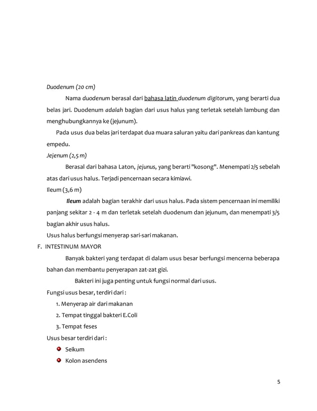 Bab. 9 anatomi dan fisiologi sistem pencernaan | DOCX