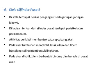 Biologi Kelas XI SMA Bab 2. Jaringan Pada Tumbuhan dan Hewan | PPTX