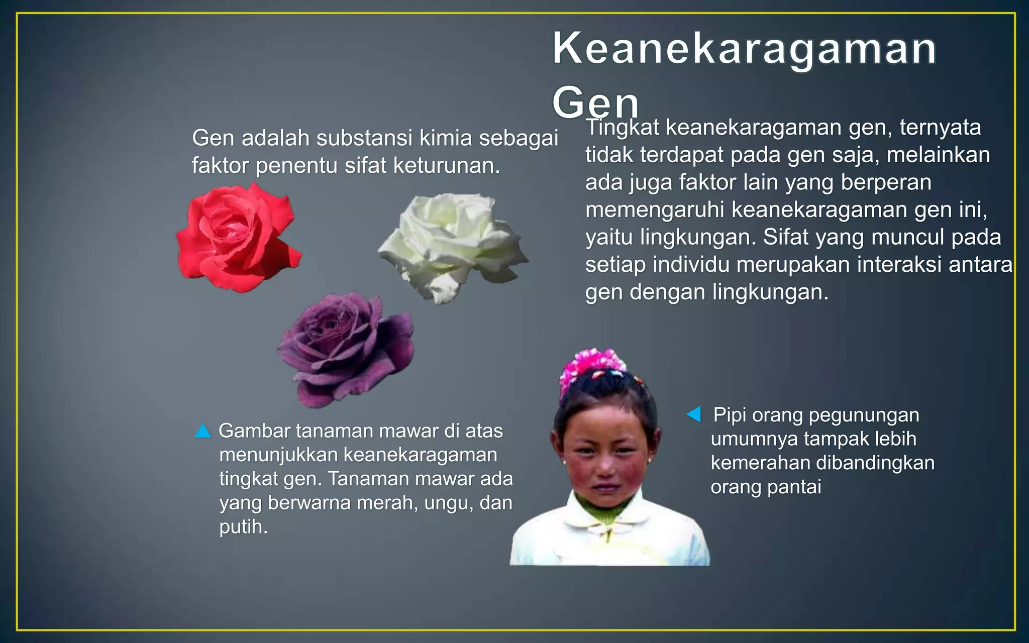 BAB-2-Keanekaragaman-Hayati.ppt.ppt