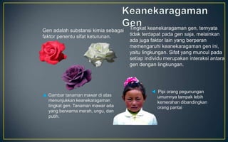 BAB-2-Keanekaragaman-Hayati.ppt.ppt