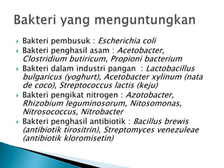 ARCHAEBACTERIA DAN EUBACTERIA.pptx