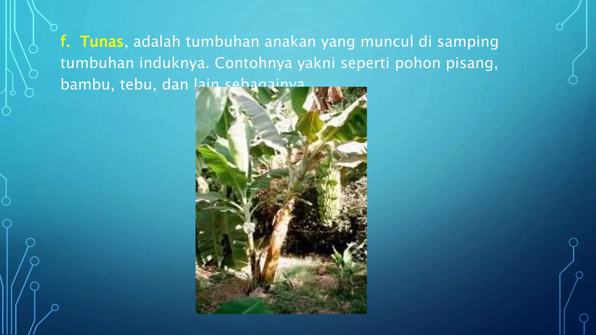 BAB.6 PERBANYAKAN TANAMAN.pola tanam. hama penyakit tanamanpptx | PPTX