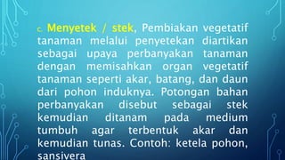 BAB.6 PERBANYAKAN TANAMAN.pola tanam. hama penyakit tanamanpptx | PPTX