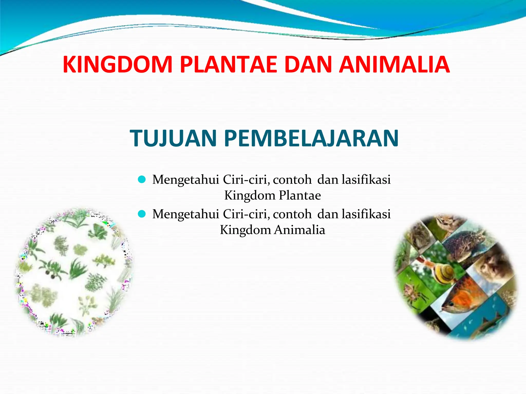 Bab. 2 Klasifkasi Plantae dan Animalia.pdf