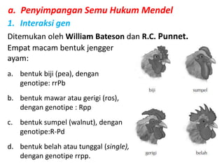 Bab 3 Hereditas, materi biologi kelas 12 | PPTX