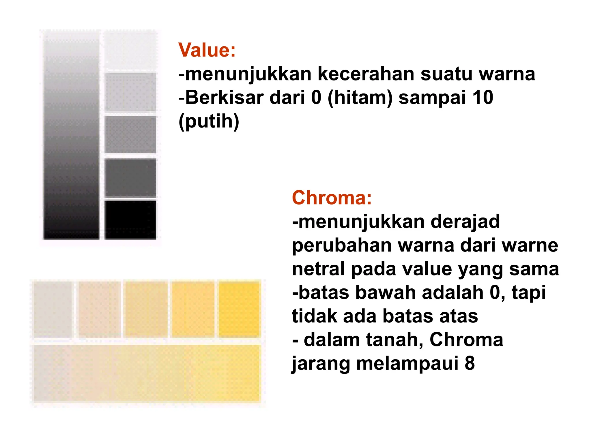 Materi 3 Morfologi dan Sifat Fisik Tanah | PDF