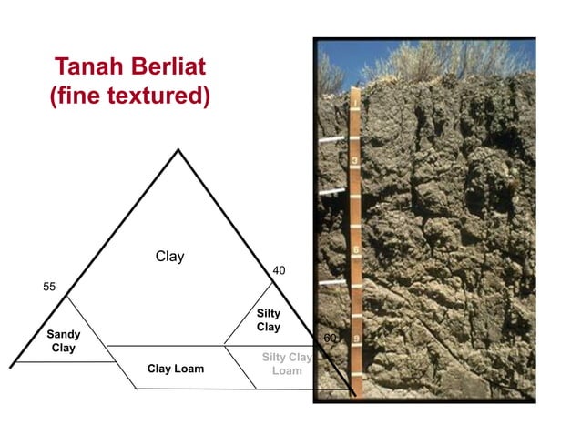 Materi 3 Morfologi dan Sifat Fisik Tanah | PDF