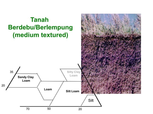 Materi 3 Morfologi dan Sifat Fisik Tanah | PDF